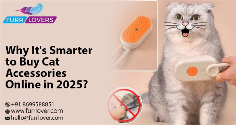 Why It's Smarter to Buy Cat Accessories Online in 2025? - Furr Lovers ...
