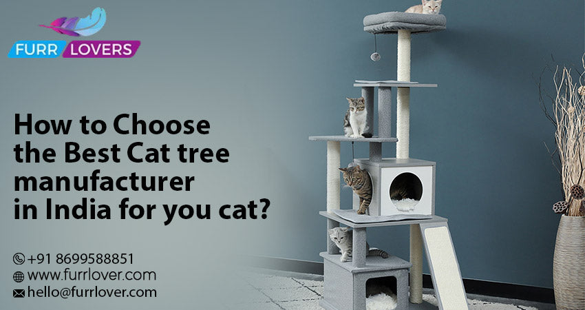 How to Choose the Best Cat tree manufacturer in India for you cat ...